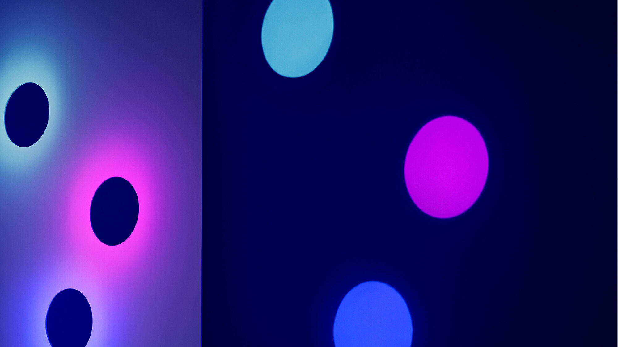 Create tailored solutions to fit your unique inflammation research needs